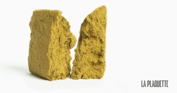 Hash Jaune Mousseux : fabrication, effets et guide complet